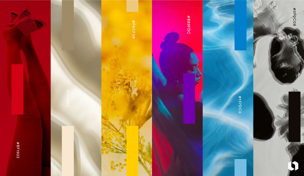 The Top Colors of Phone Cases That Will Be Most Popular in 2025